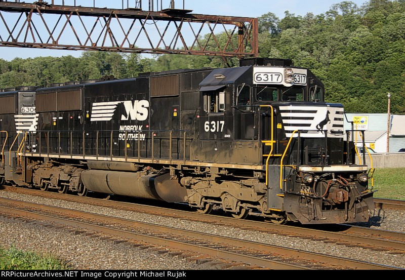 NS 6317